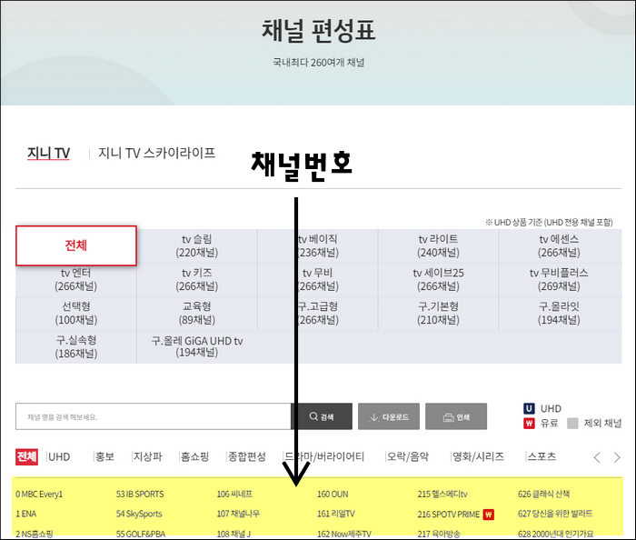 KT TV 채널번호 및 채널 편성표 (올레티비, 지니티비 요금제 정보) - TIPMAD
